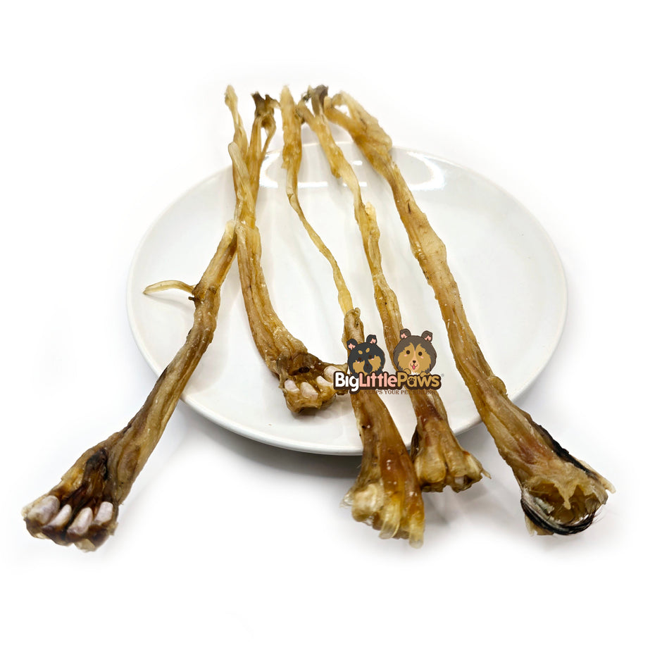 Single Ingredients Natural Dog Treats | Dog Chews – Big Little Paws ...