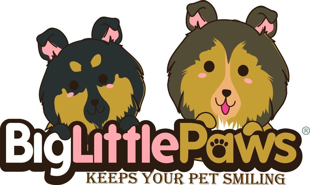 Single Ingredients Natural Dog Treats | Dog Chews – Big Little Paws ...