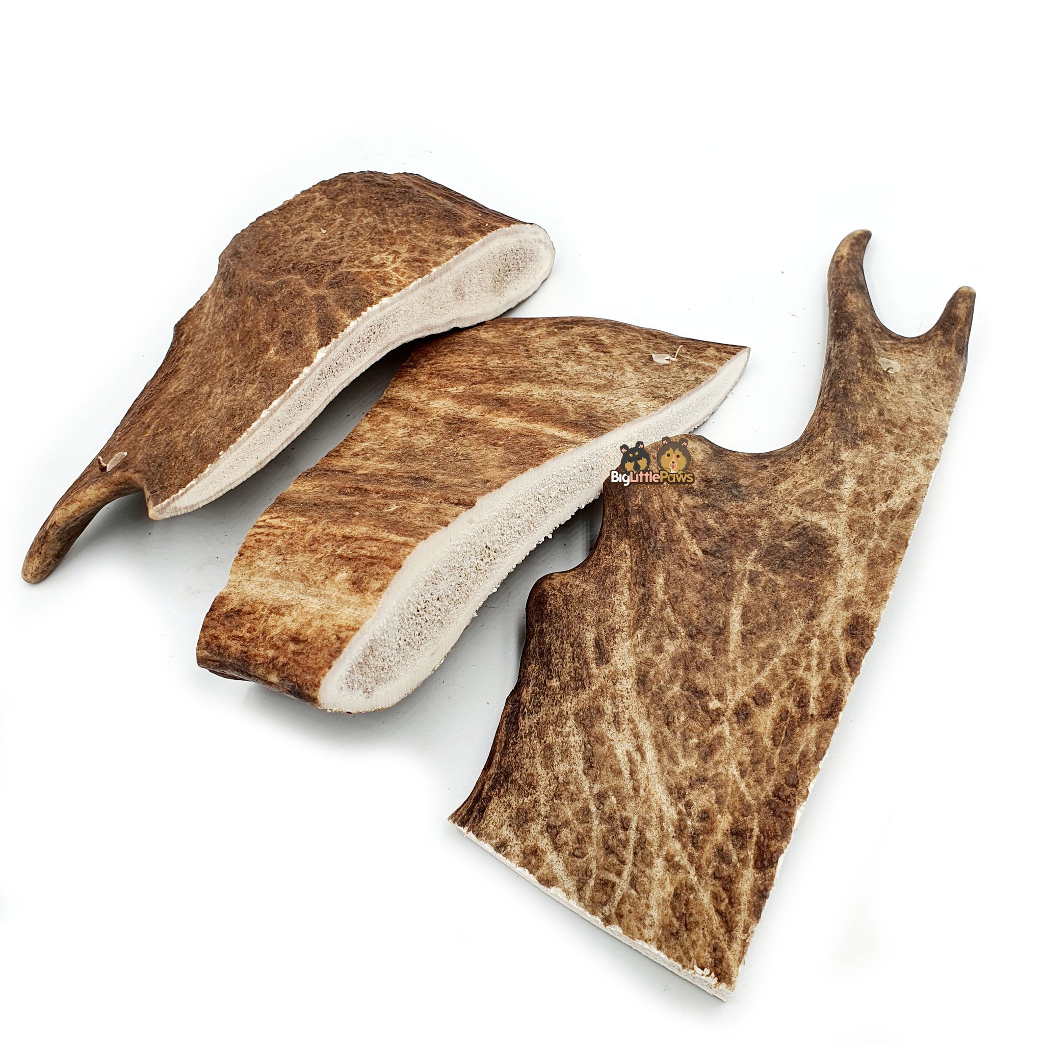 Fallow Antler Natural Dog Chew – Big Little Paws Singapore